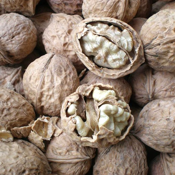 WALNUT – Rizhao Xinglu Peanut Foodstuffs Co., Ltd